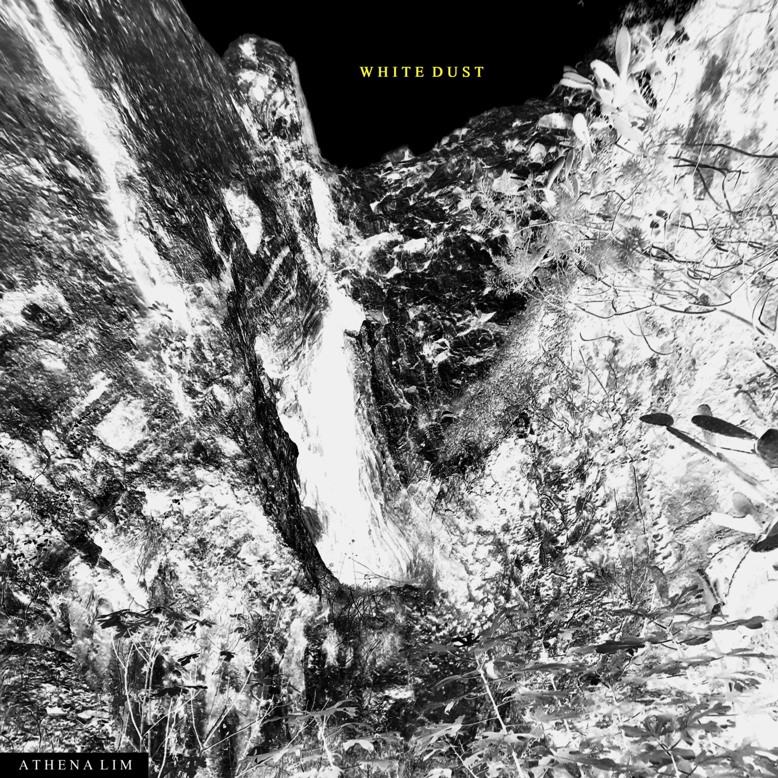 Athena Lim Blends Funk And Folk In New Single "White Dust"