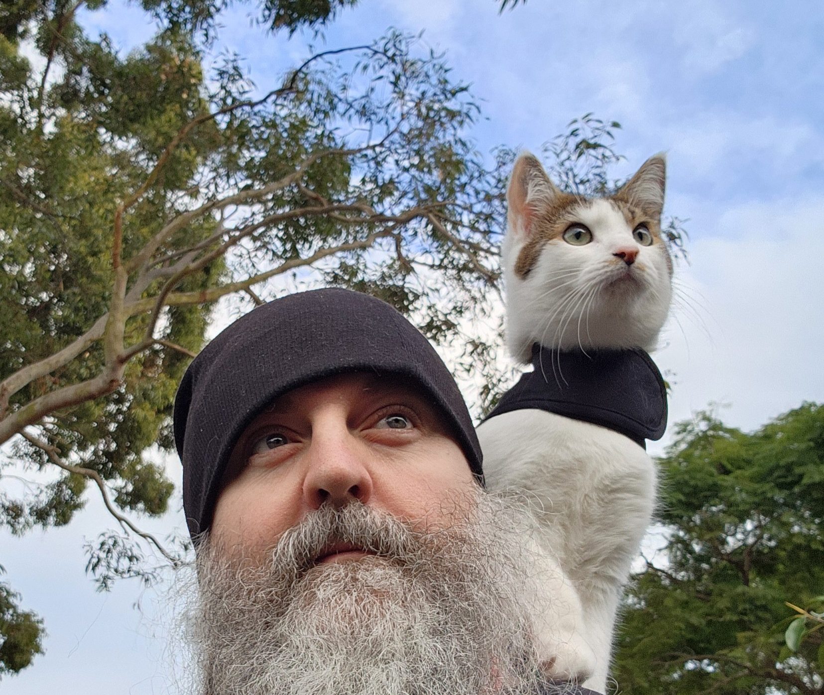 Cat Cork Ushers In 2025 With New Single "Promise Me"